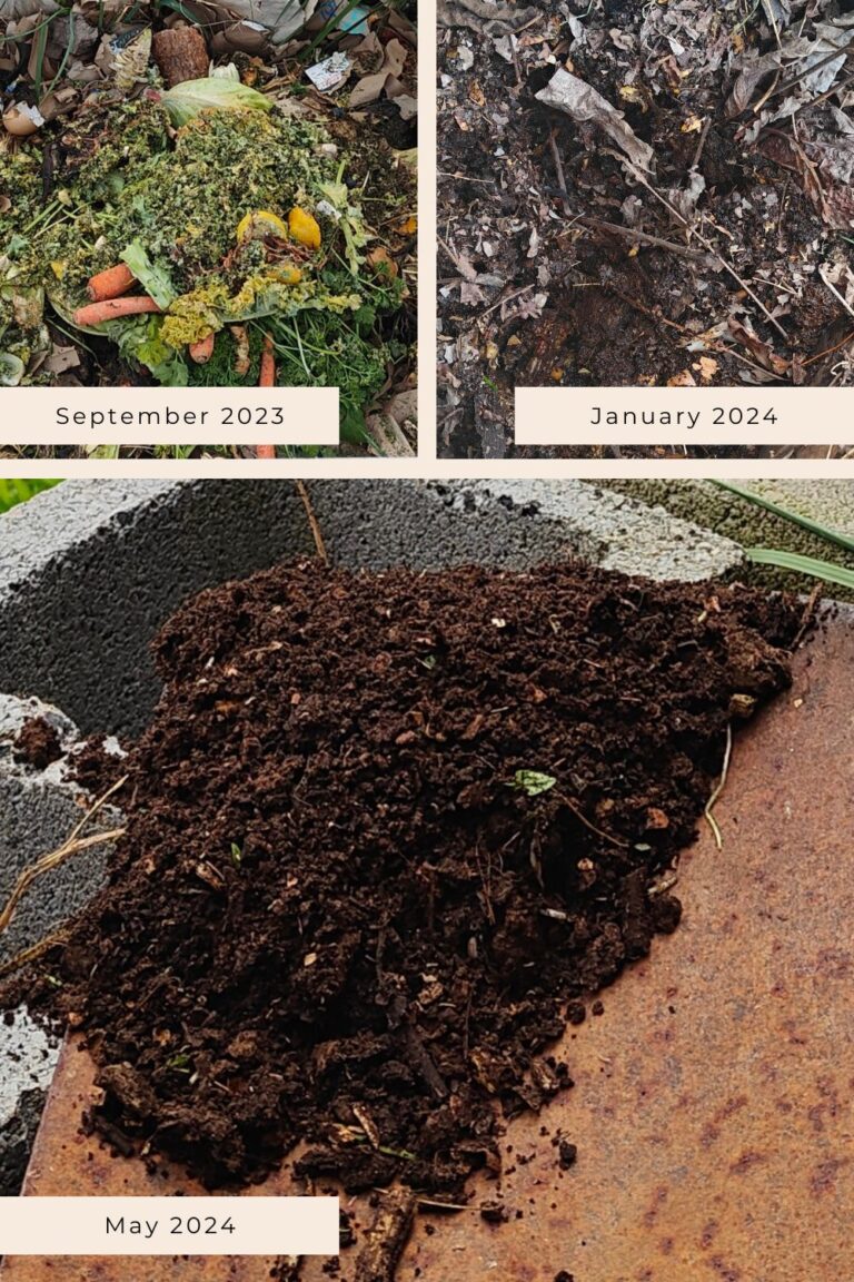 Composting at Home – Roots to Seed