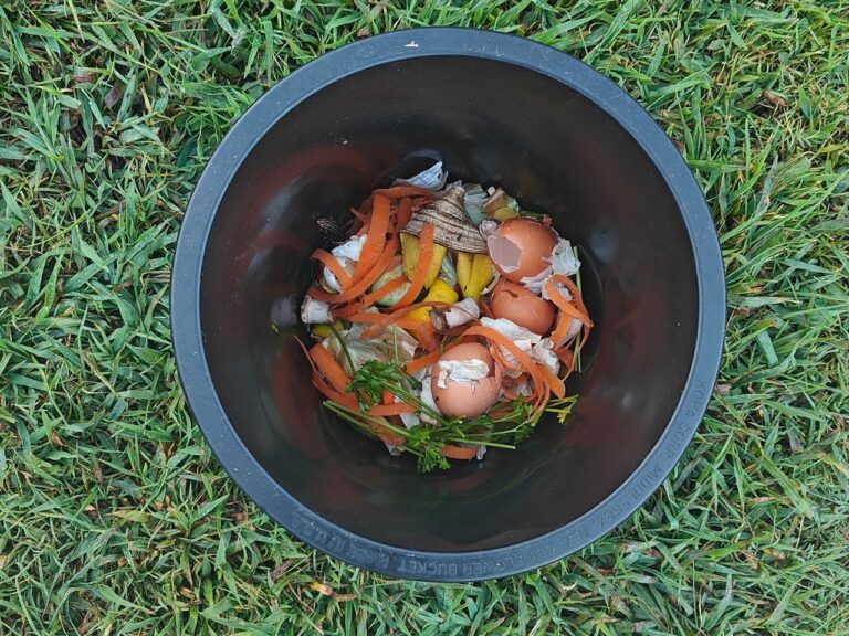 Composting at Home – Roots to Seed